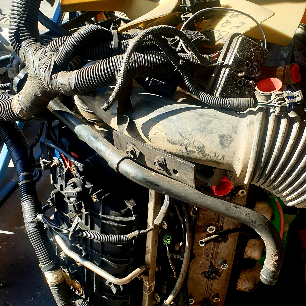 GM LS 6.0L Engine Used – Silvester V8